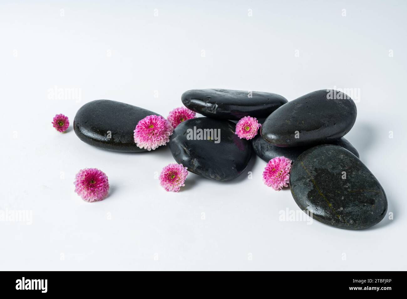 Spa stones and flowers on the white background Stock Photo - Alamy