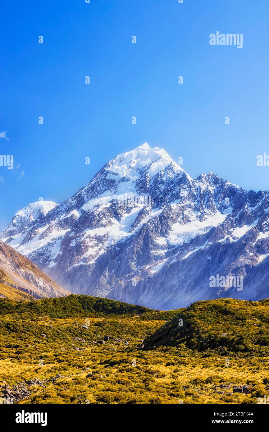New Zealand Mt Cook peak over hills in vertical landscape Stock Photo ...