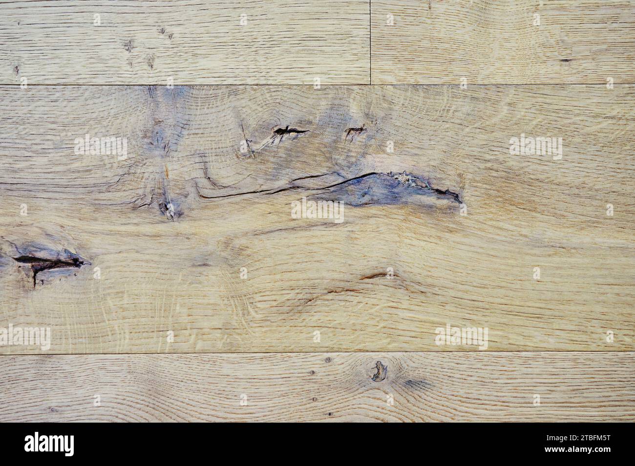 Close-up shot of a high-quality wooden parquet floor with visible ...
