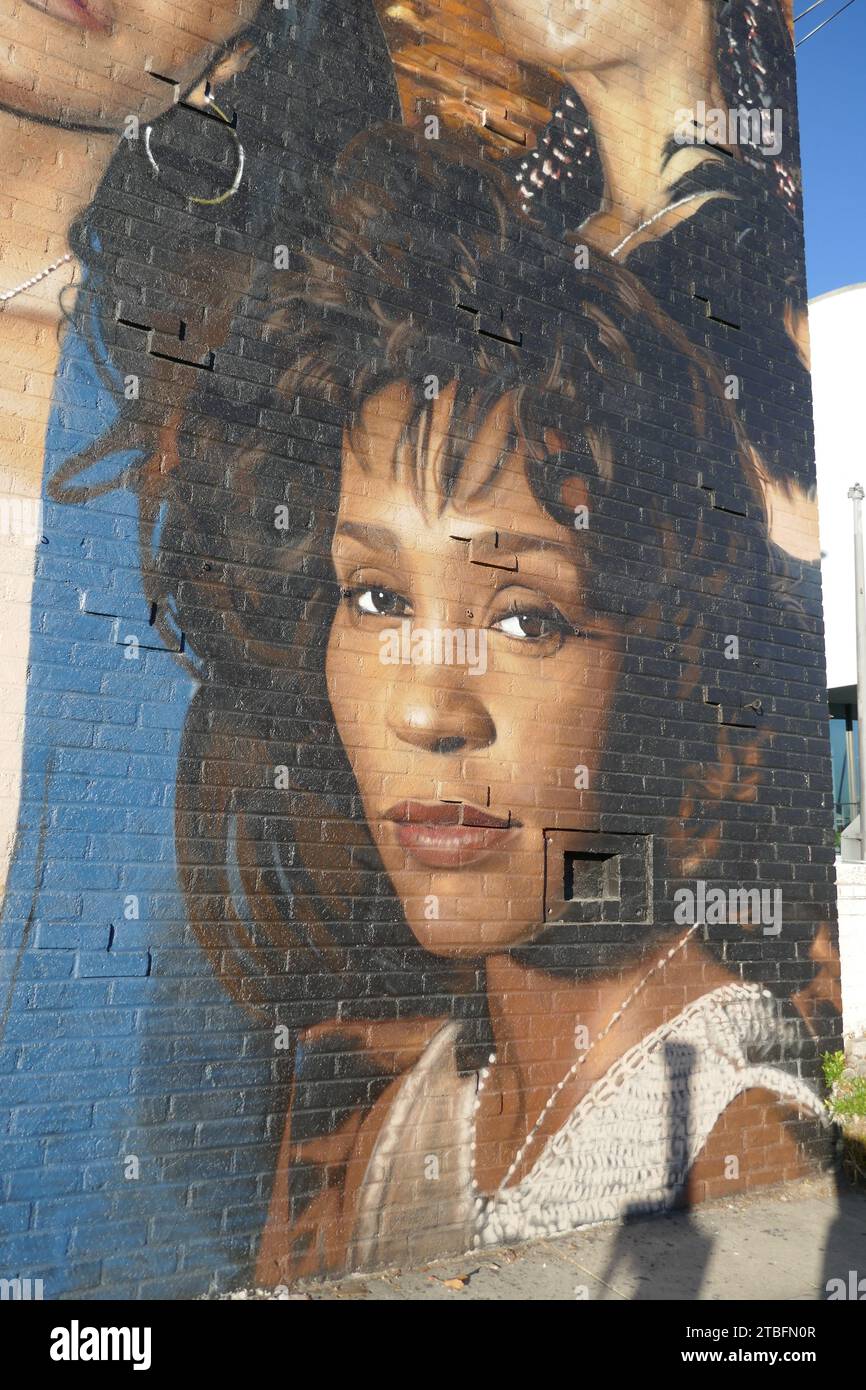 Los Angeles, California, USA 5th December 2023 Street Art Mural of Amy ...