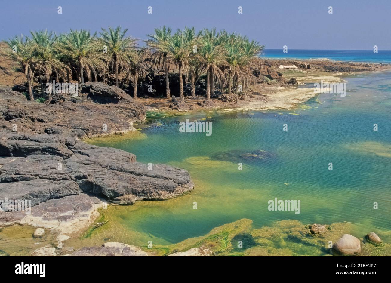 Hadibu , also known as Hadiboh, formerly known as Tamrida is a coastal ...