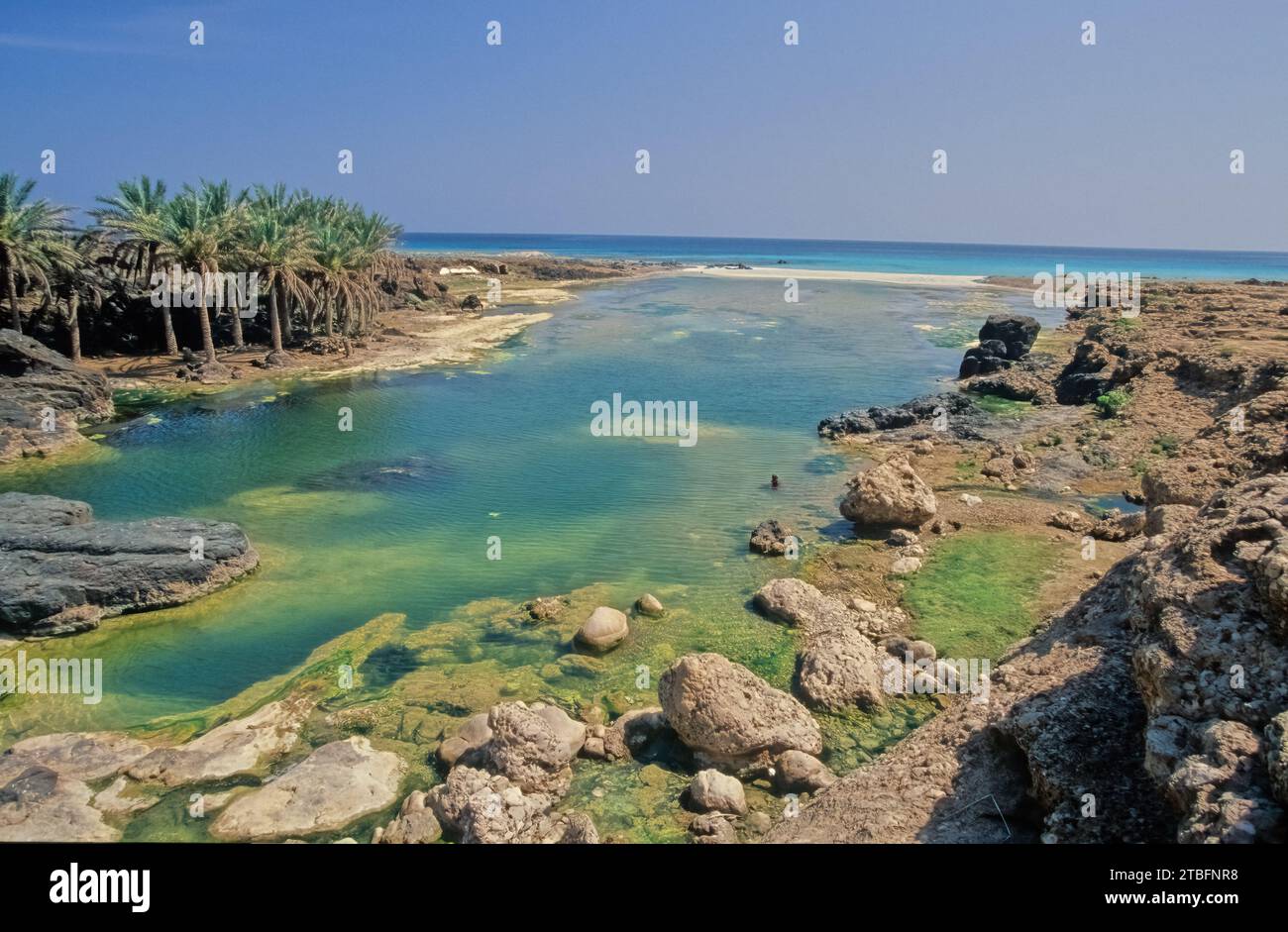 Hadibu , also known as Hadiboh, formerly known as Tamrida is a coastal ...