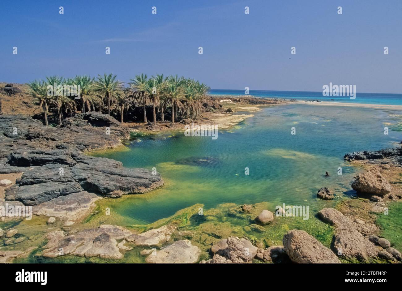 Hadibu , also known as Hadiboh, formerly known as Tamrida is a coastal ...