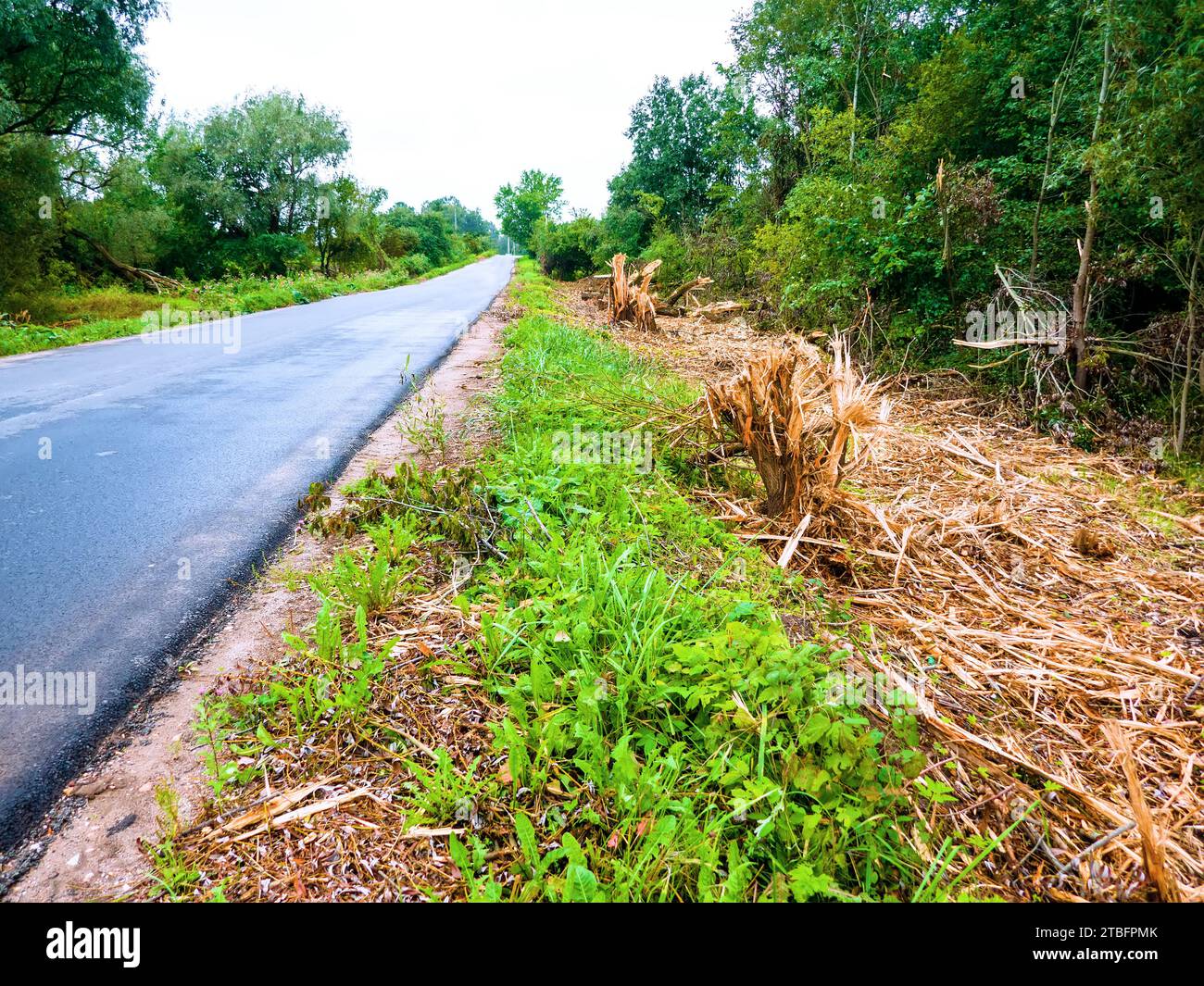 Branch chopper of felled trees. Widening the highway and clearing ...