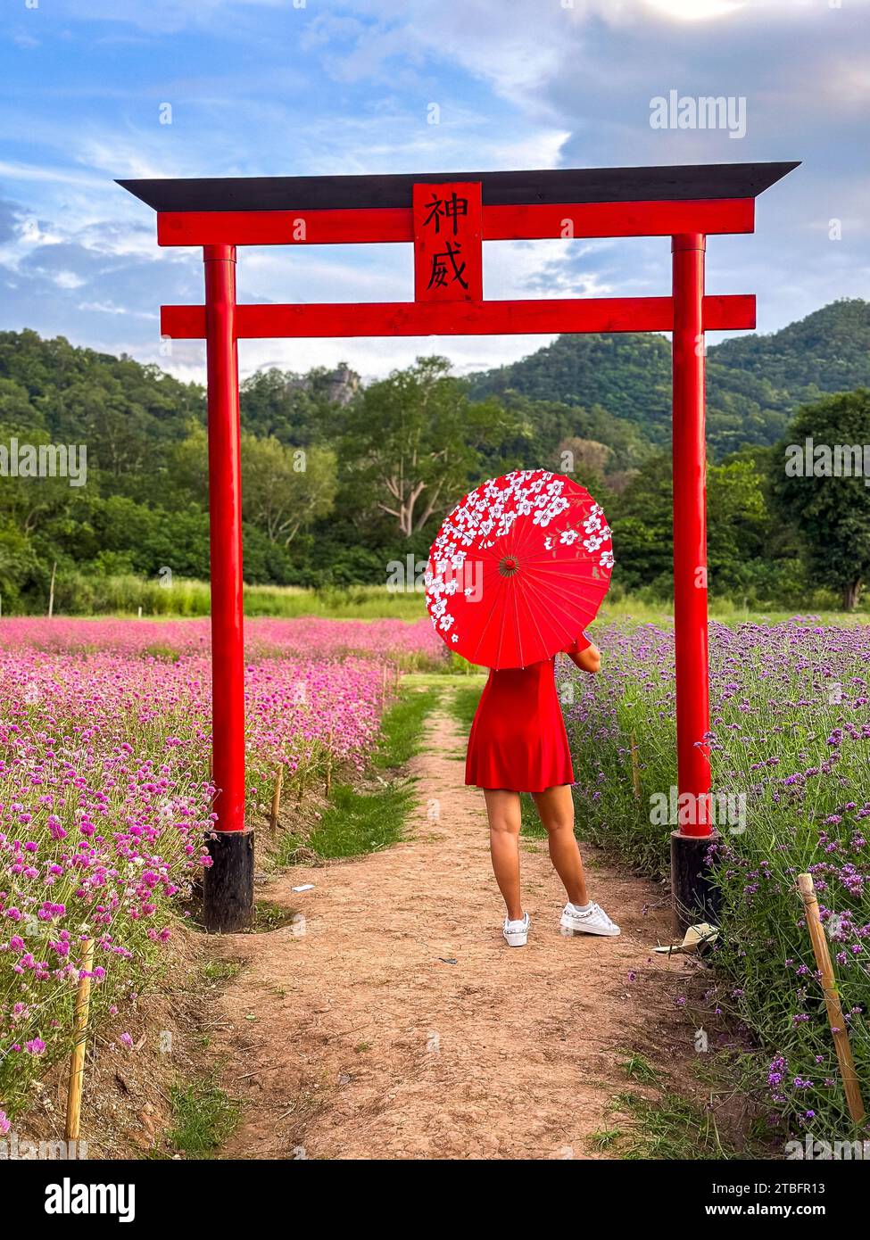 Khao yai flowers hi-res stock photography and images - Alamy