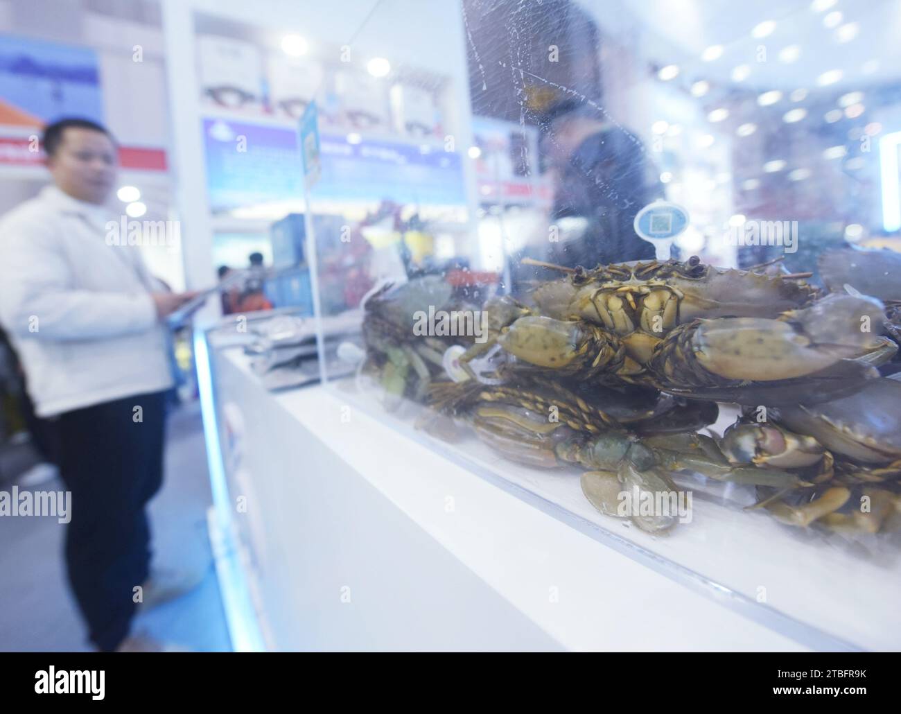 HANGZHOU, CHINA - DECEMBER 7, 2023 - Citizens view Sanmen green crabs ...