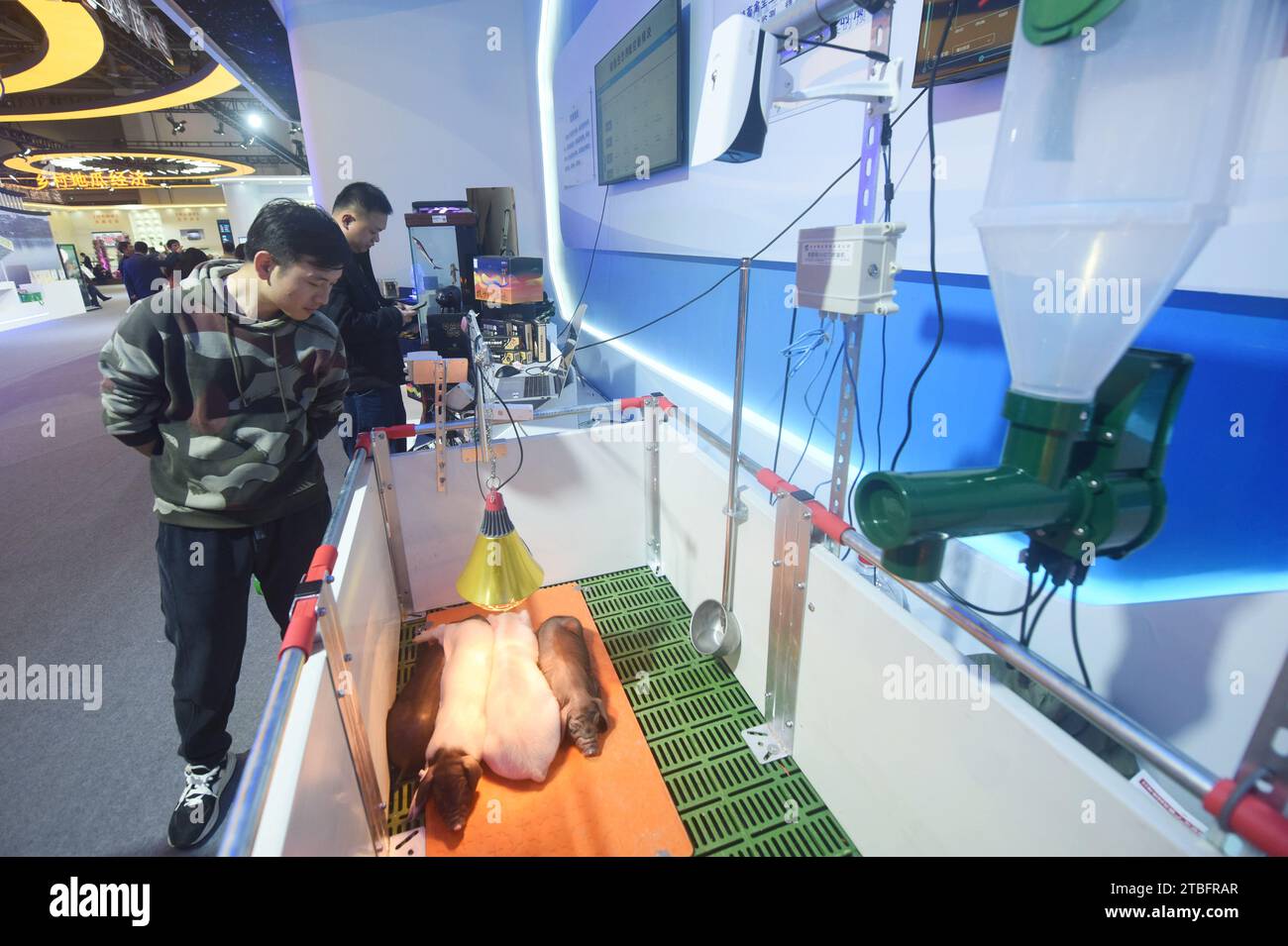 HANGZHOU, CHINA - DECEMBER 7, 2023 - Citizens look at a smart pig house ...