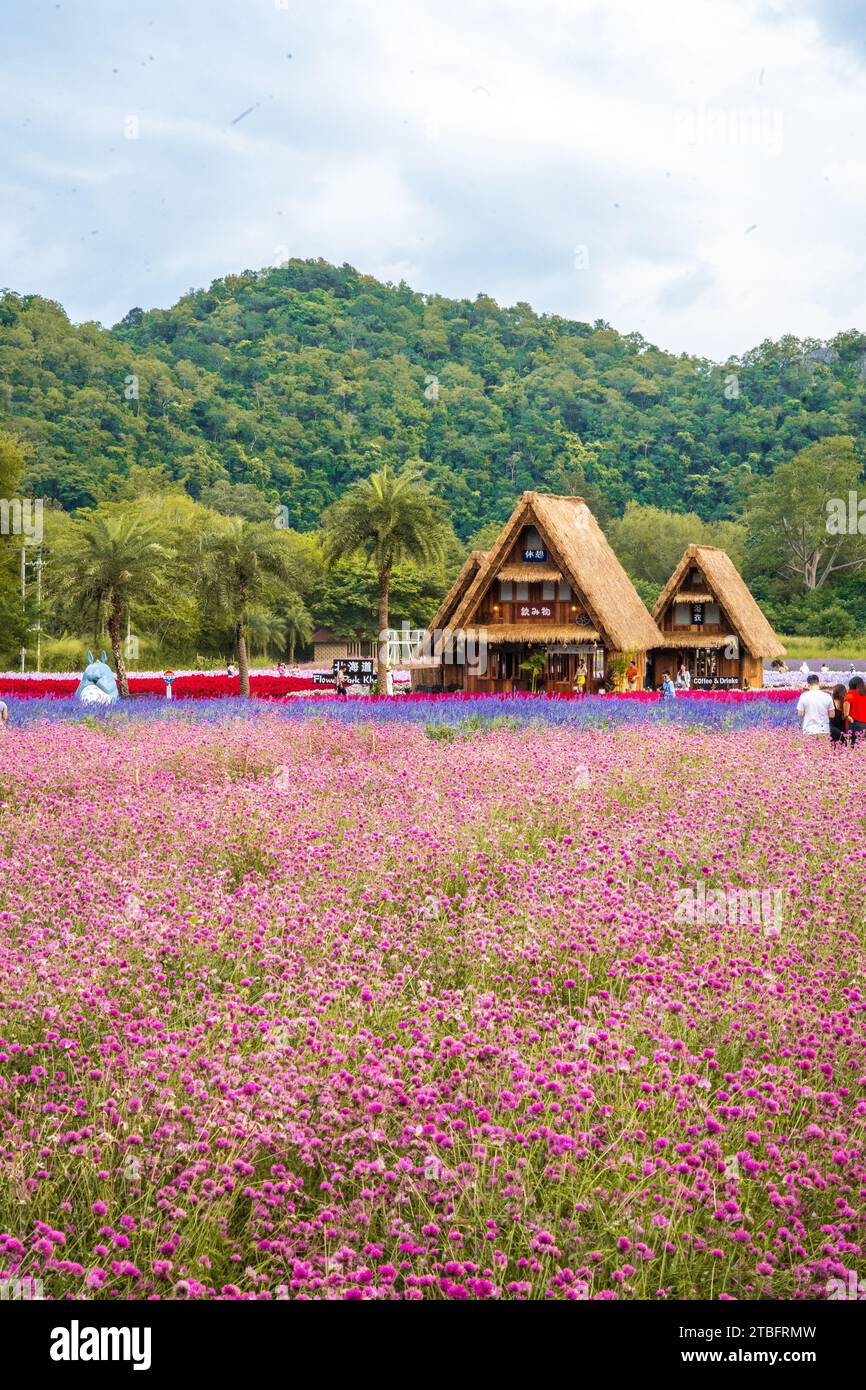 Khao yai flowers hi-res stock photography and images - Alamy