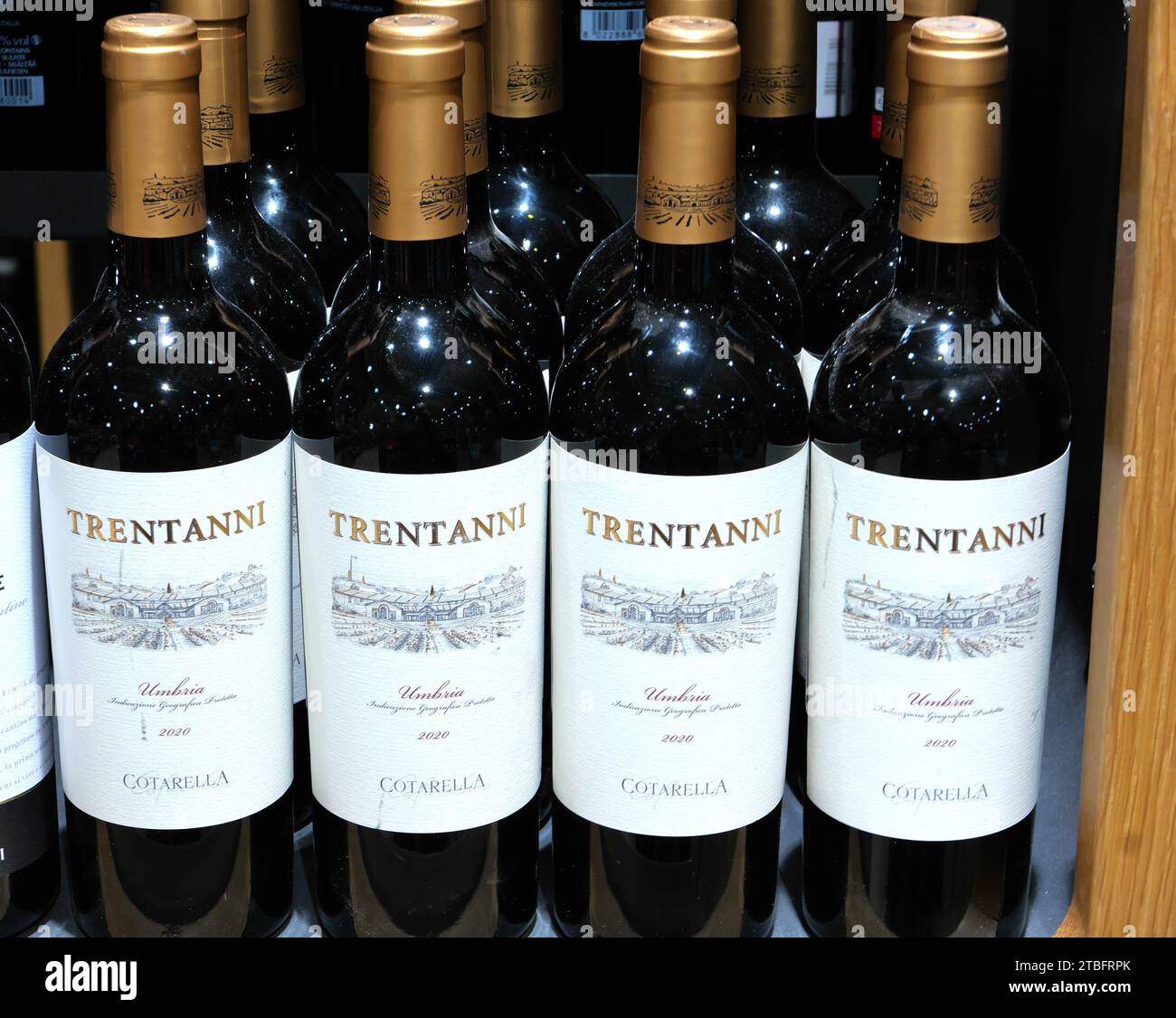 Cotorella hi-res stock photography and images - Alamy