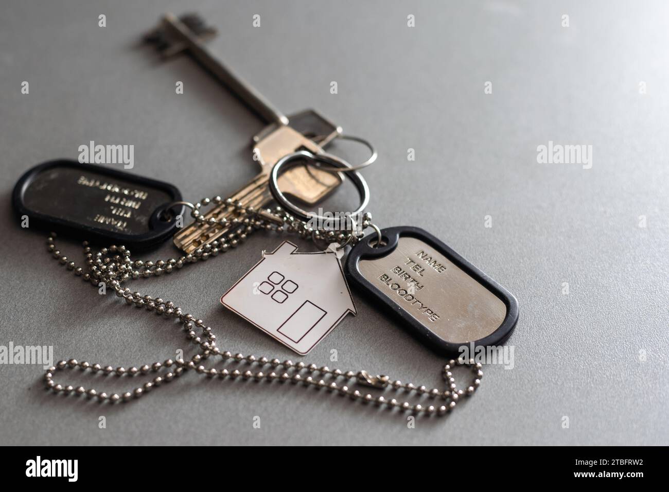 Key chain dog hi-res stock photography and images - Alamy
