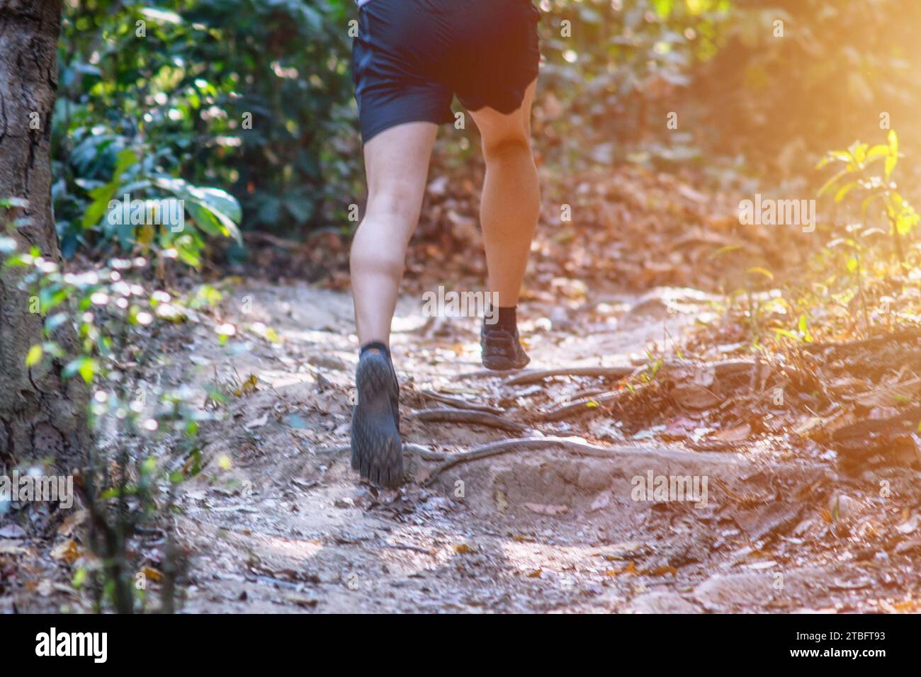 Male running training for cross country forest trail race on a nature ...