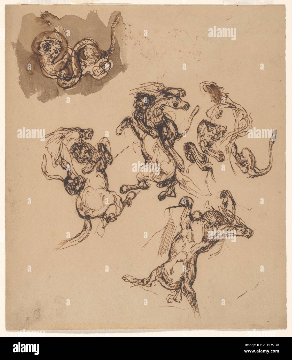 Studies of a Rearing Horse Attacked by a Lion and a Lion Wrestling with ...