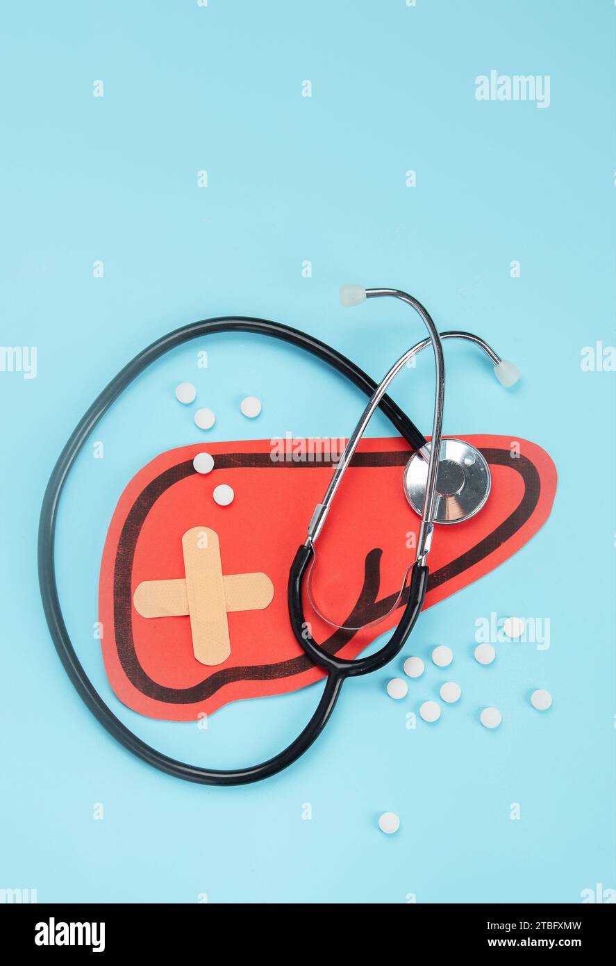 A stethoscope and liver shape made of paper on a white background. Top ...
