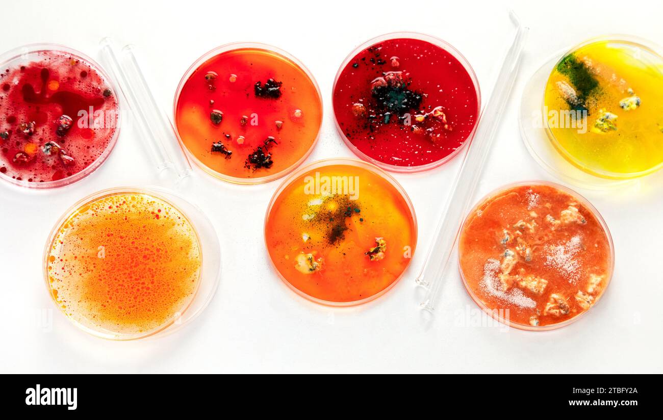 Science top hi-res stock photography and images - Alamy