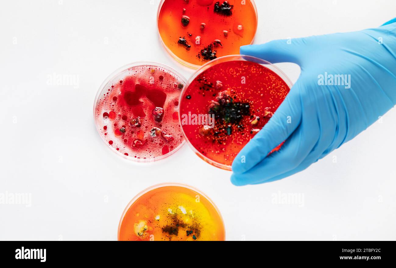 Background with laboratory petri dish. Microbiology science. Top view ...