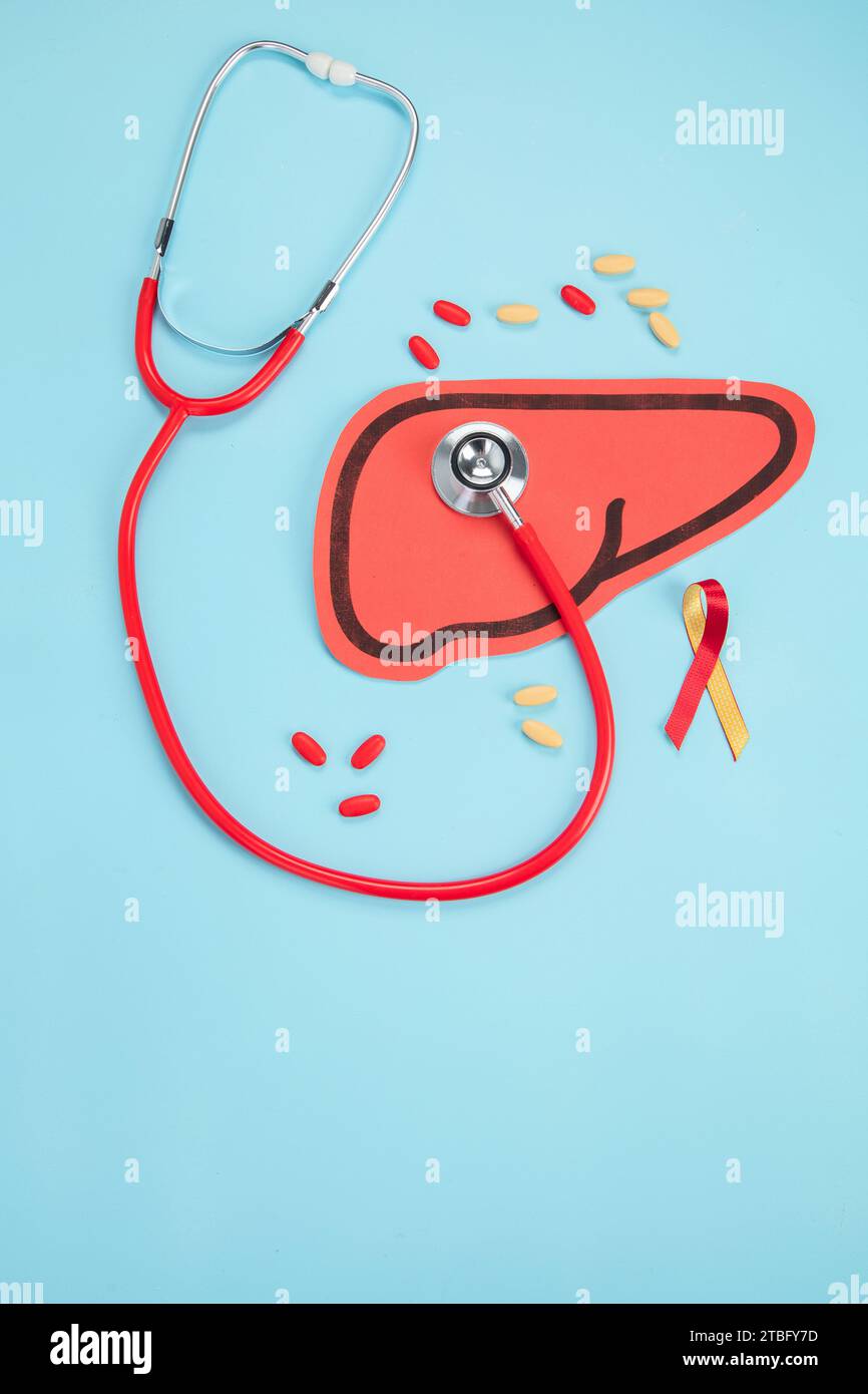 A stethoscope and liver shape made of paper on a white background. Top ...