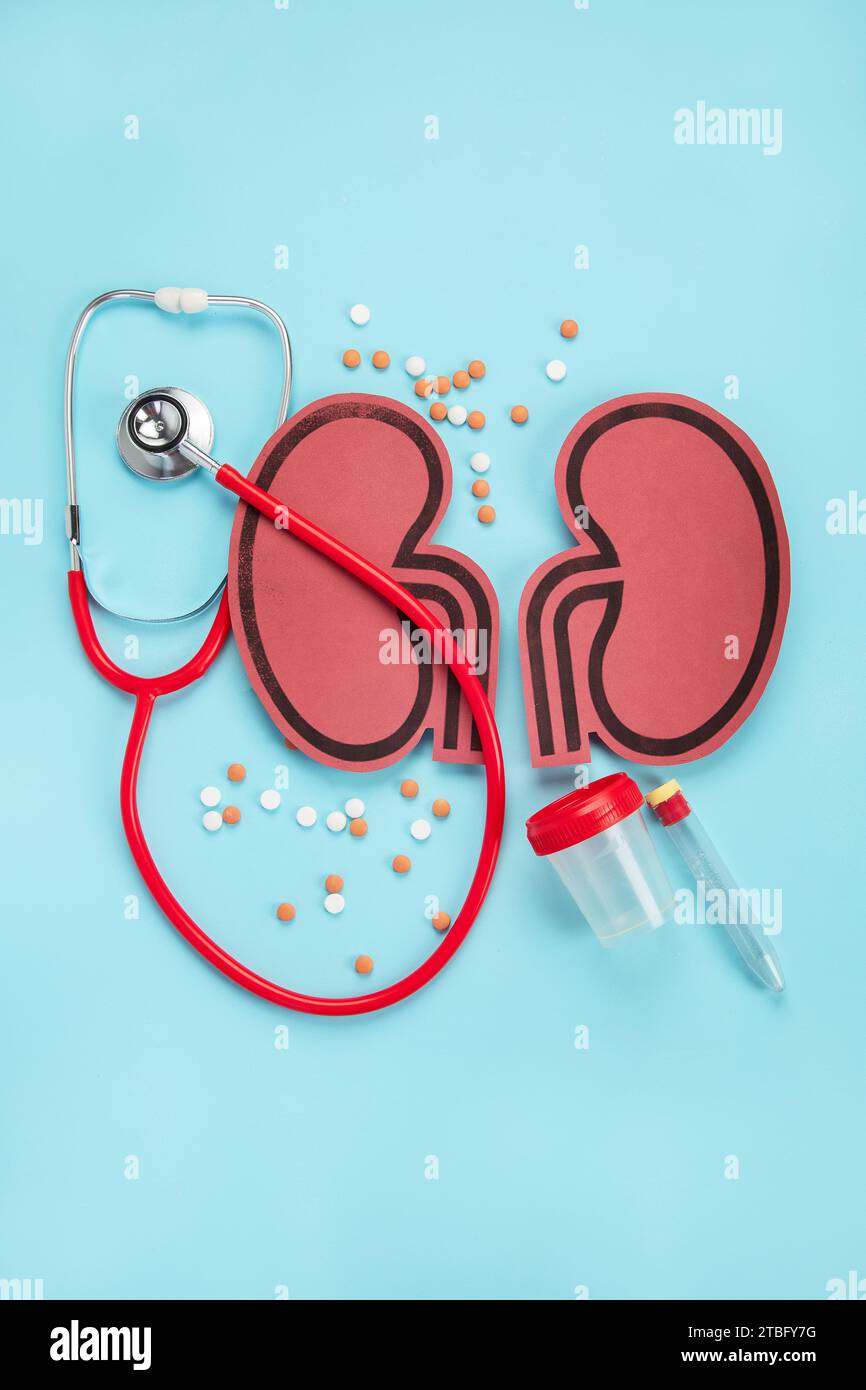 Kidney and differents pills on blue background. Organ diseases and ...