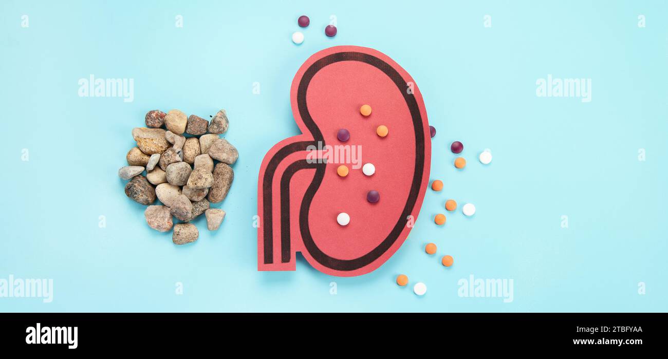 Kidney and differents pills on blue background. Organ diseases and ...