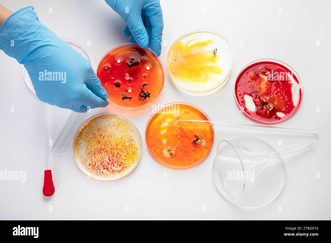 Science top hi-res stock photography and images - Alamy