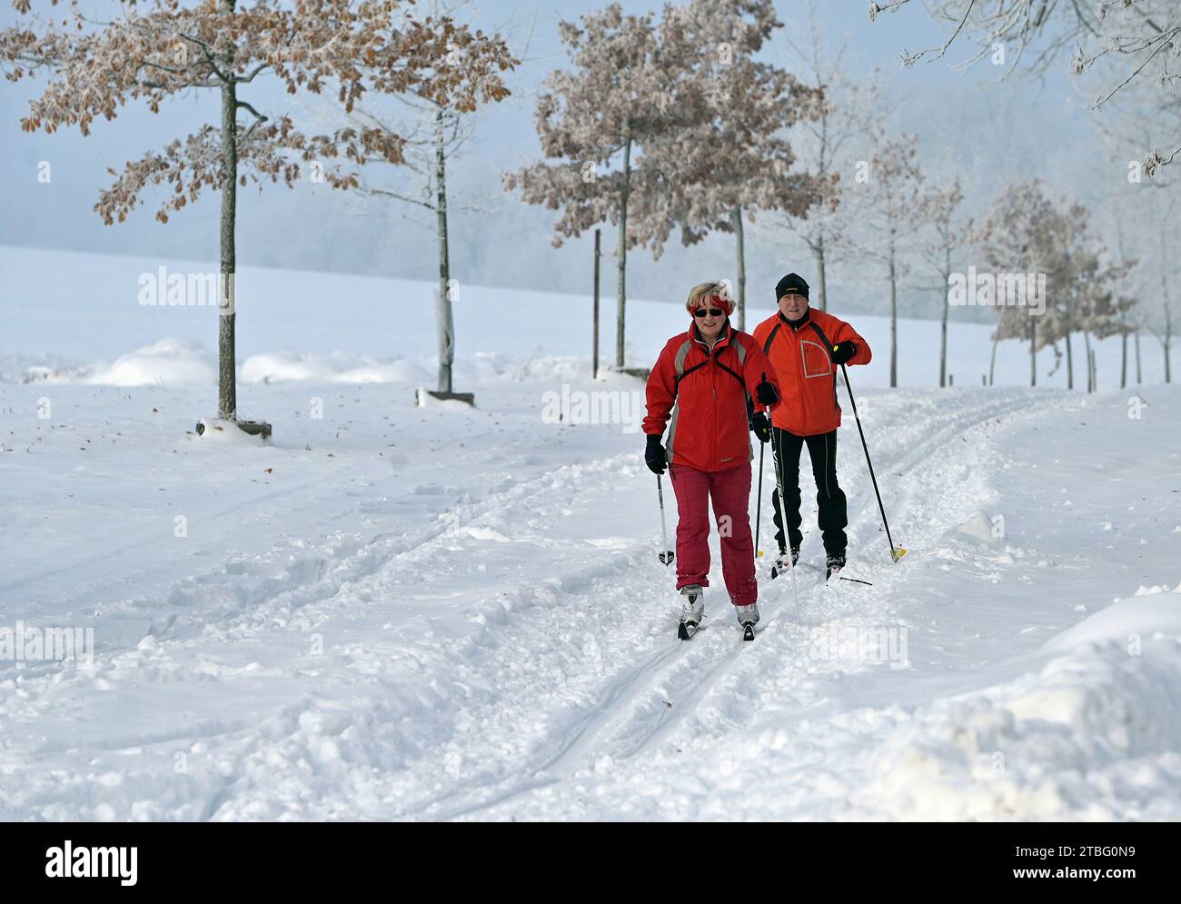 Vysoka, Czech Republic. 06th Dec, 2023. Cross-country skiing ...