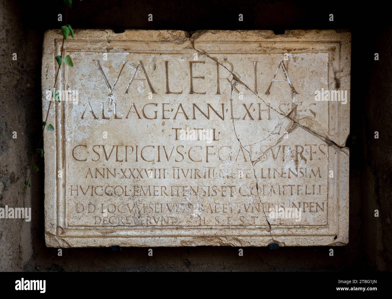 Columbaries hi-res stock photography and images - Alamy
