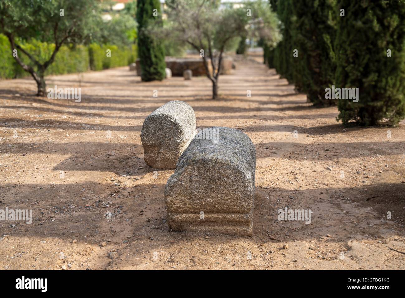 Dirt road between stone Roman tombstones and mausoleums and cypress ...
