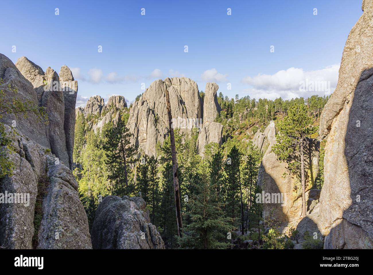 Low morning sun over the mountains around the Needles Highway in the ...