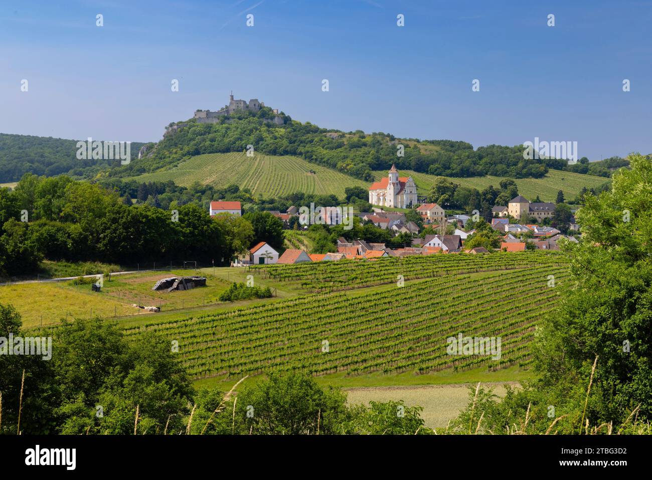 Falkenstein ruins and town with vineyard, Lower Austria, Austria Stock ...