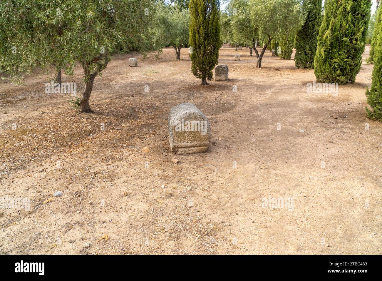 Dirt road between stone Roman tombstones and mausoleums and cypress ...