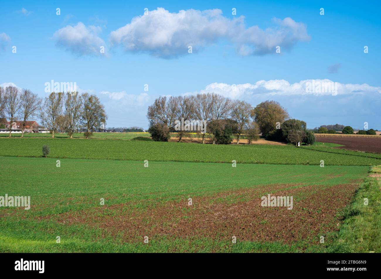 Colorful agriculture fields and hills at the Flemish countryside around ...