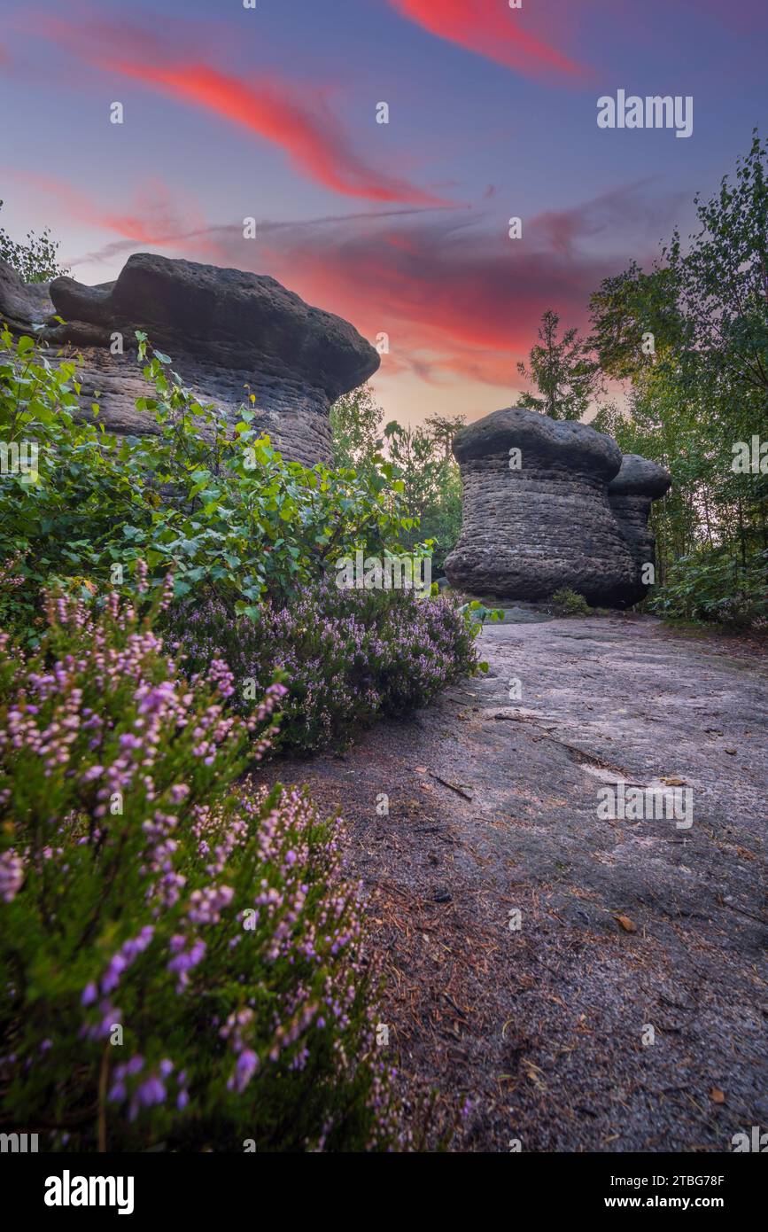Landscape in a nature reserve Broumovske steny, eastern Bohemia, Czech ...