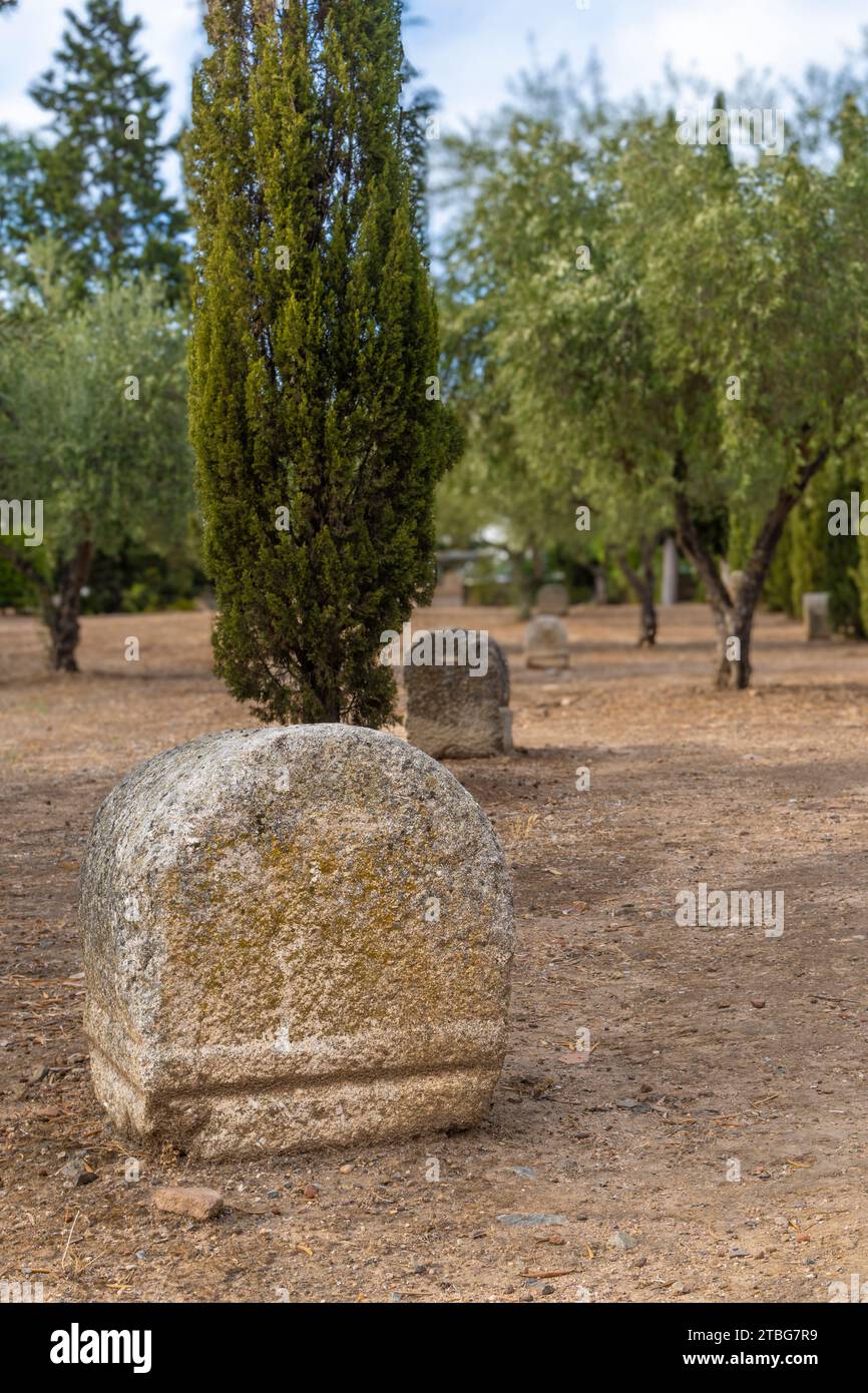 Funeral cypress hi-res stock photography and images - Alamy