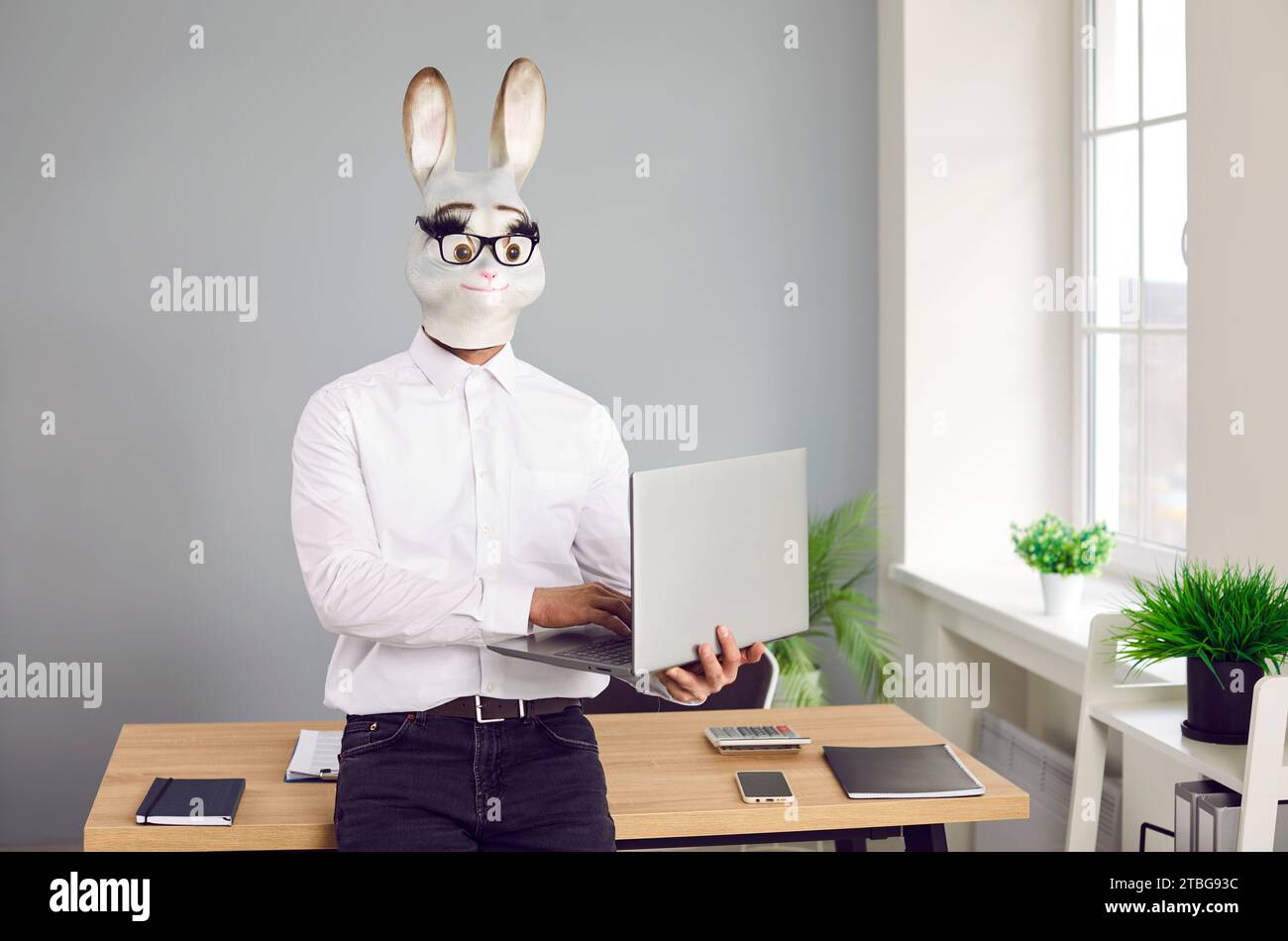 Rabbit costume office hi-res stock photography and images - Alamy