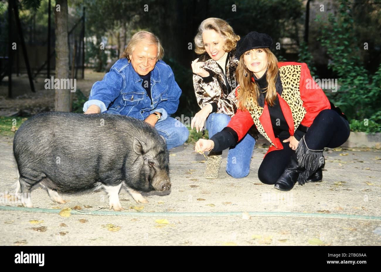Wolfgang und Maria Petersen, mit Hängebauchschwein in Brentwood/Los ...