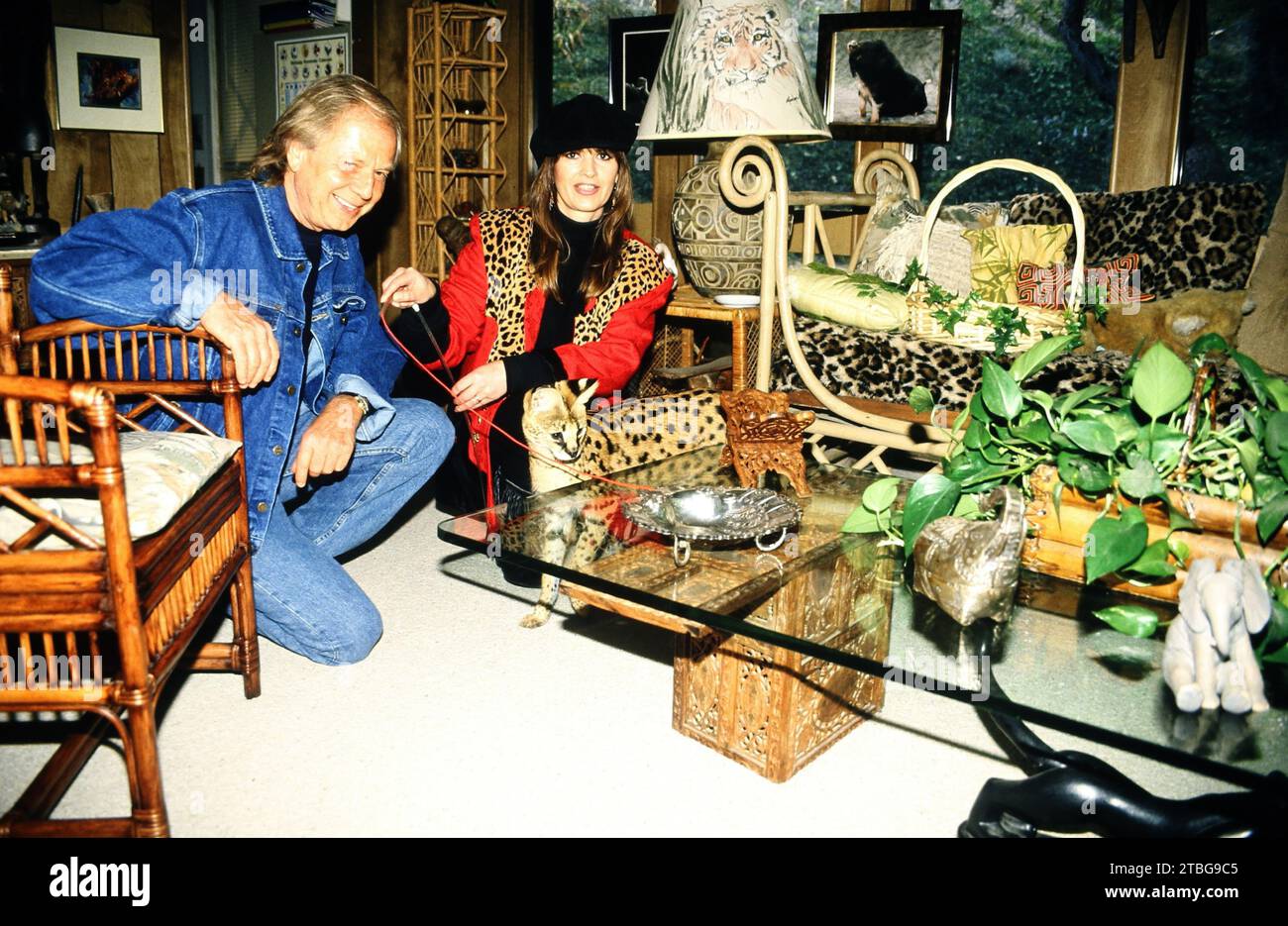 Wolfgang und Maria Petersen, mit Wildkatze zuhause im Wohnzimmer in ...