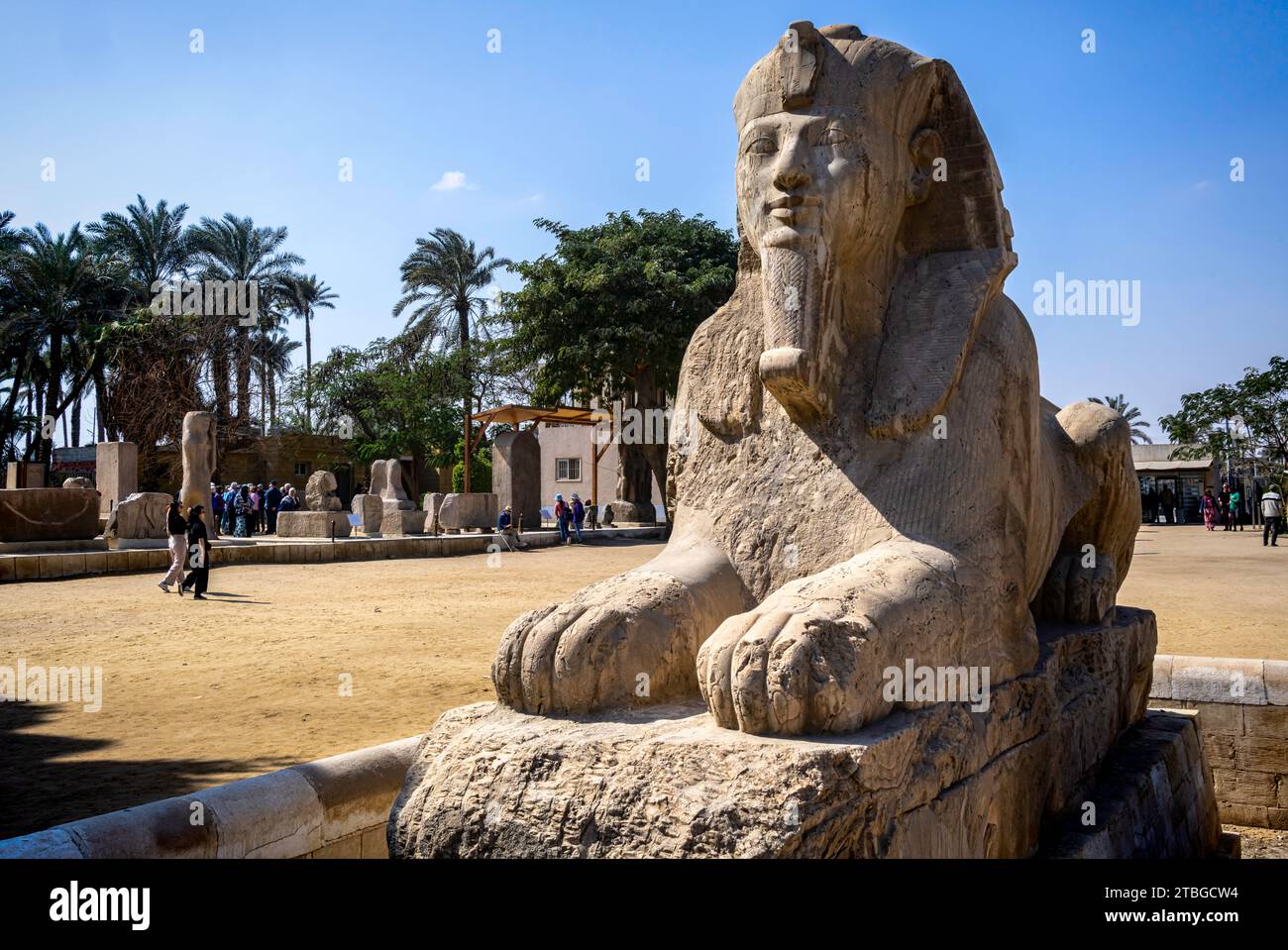 Sphinx of Memphis, open air museum of Memphis, Egypt Stock Photo - Alamy