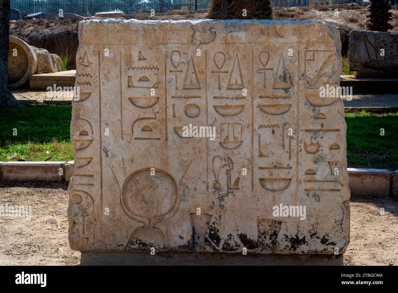 Hieroglyphic writing in stone. Mit Rahina Open Air Museum. Memphis ...
