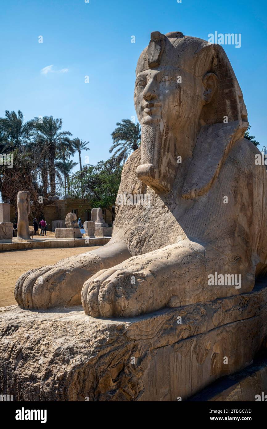 Sphinx of Memphis, open air museum of Memphis, Egypt Stock Photo - Alamy