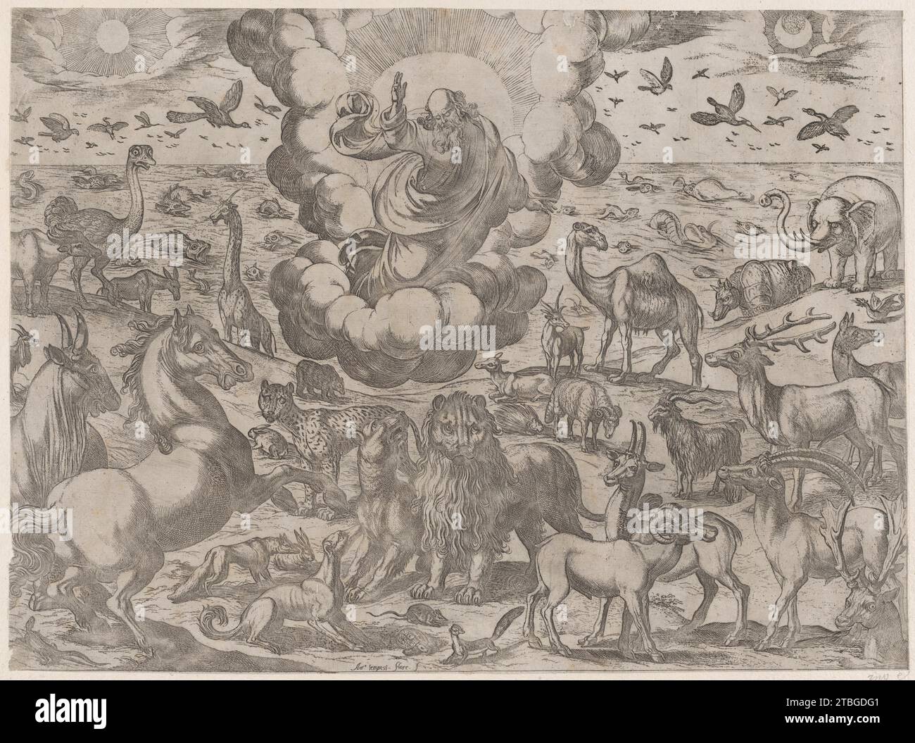 God creating animals hi-res stock photography and images - Alamy