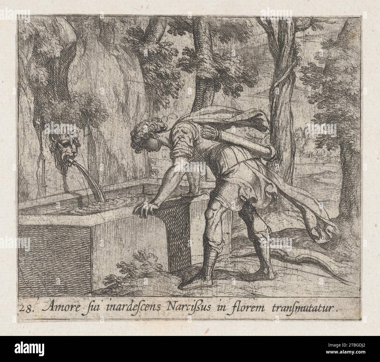 Narcissus ovids metamorphoses hi-res stock photography and images - Alamy