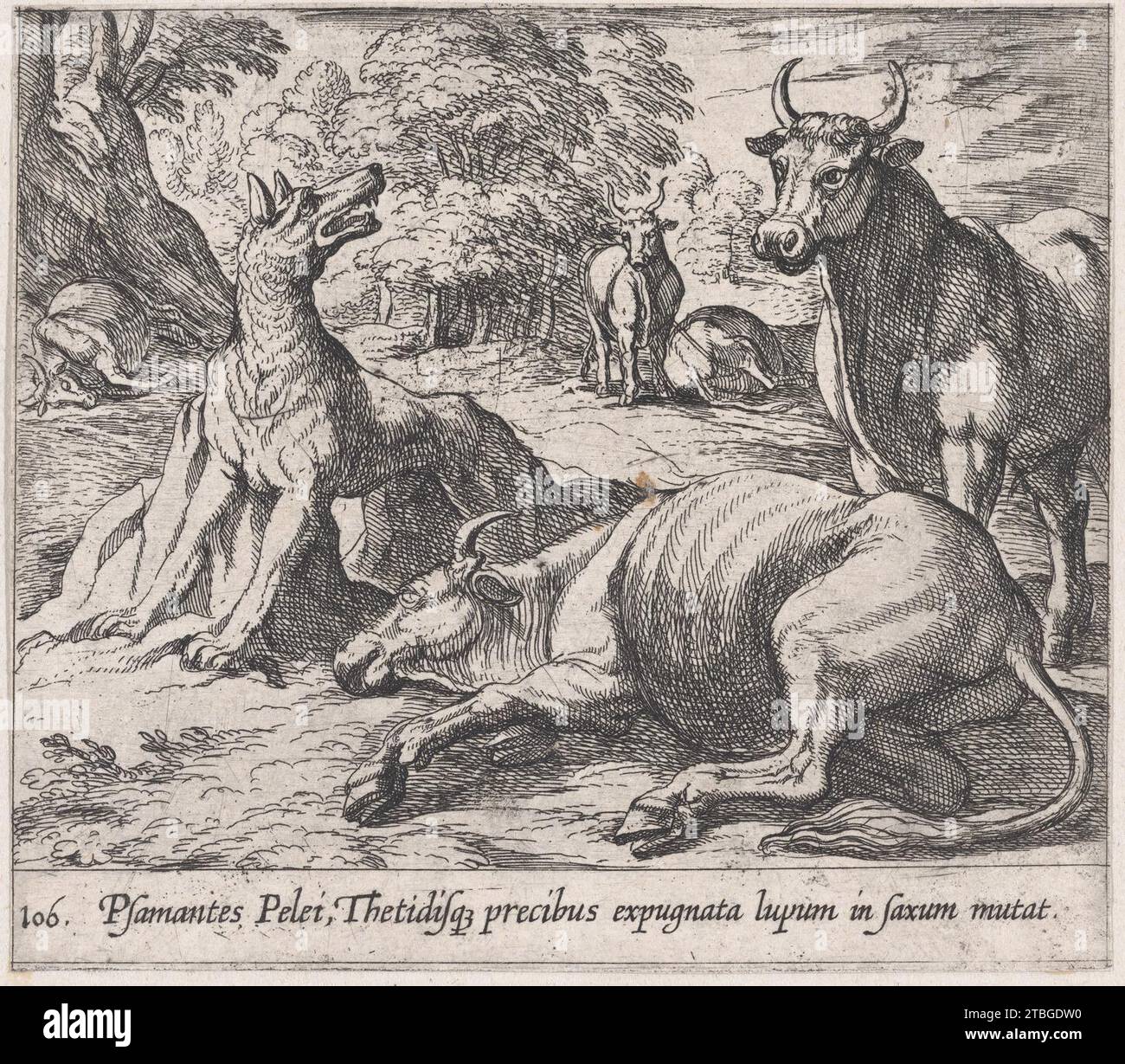 Thetidisq precibus hi-res stock photography and images - Alamy