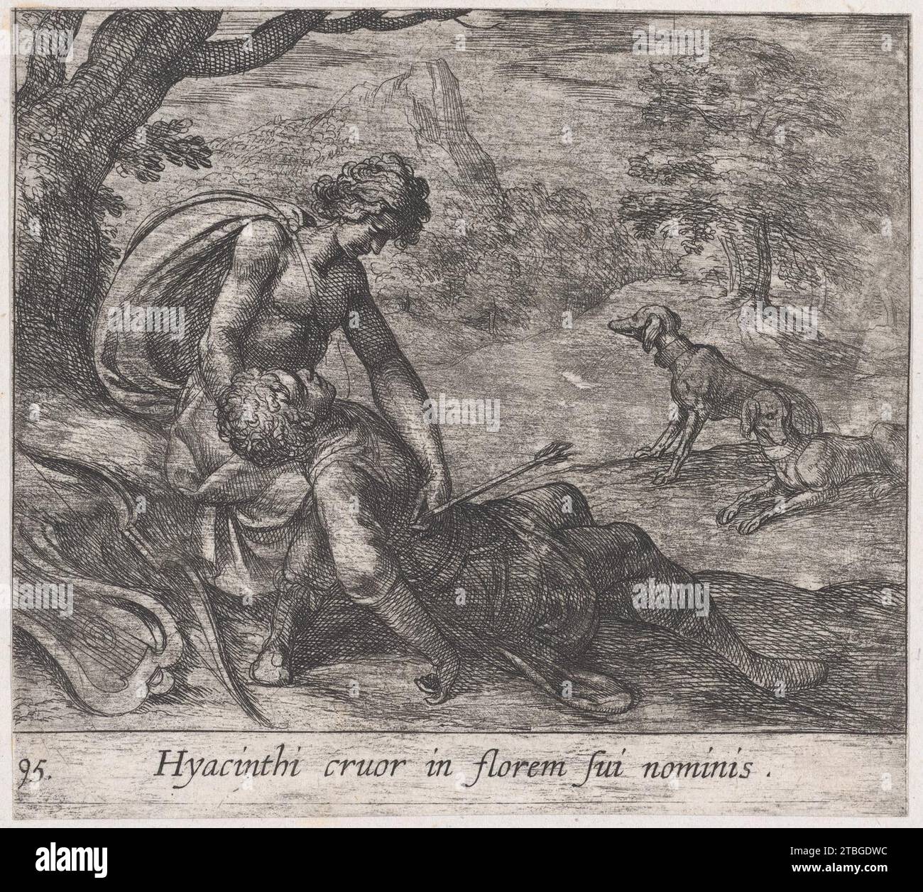 Plate 95: The Death of Hyacinthus (Hyacinthi cruor in florem sui ...