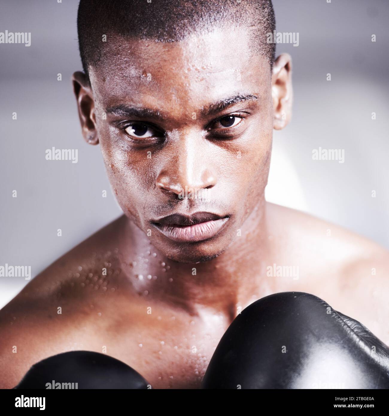 Boxing, gloves and portrait of black man with power, fitness and ...