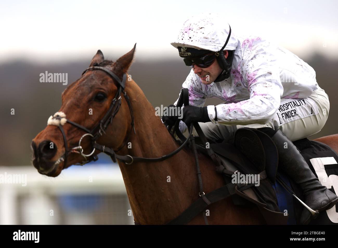 Springwell bay hi-res stock photography and images - Alamy