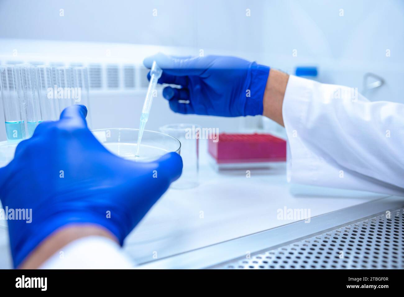 Scientist hands in surgical with dropper or pipette, examining samples and liquid Stock Photo ...