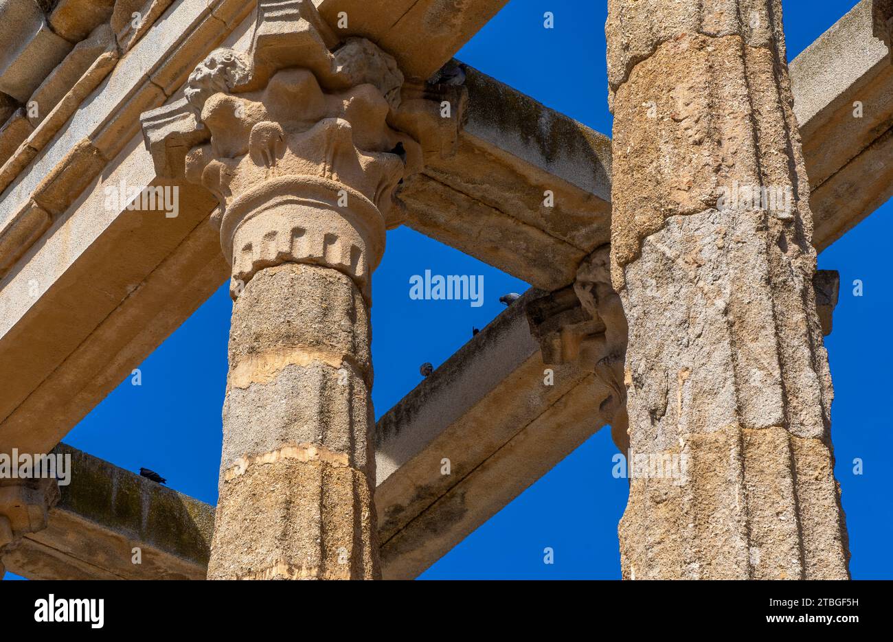 Detail of the ornate moldings on the Corinthian order columns and ...