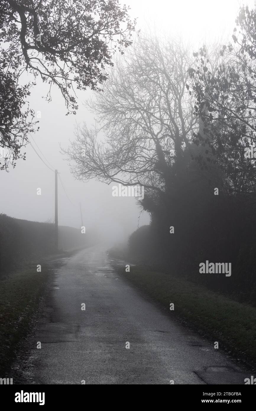 A country lane in winter fog, Warwickshire, England, UK Stock Photo - Alamy