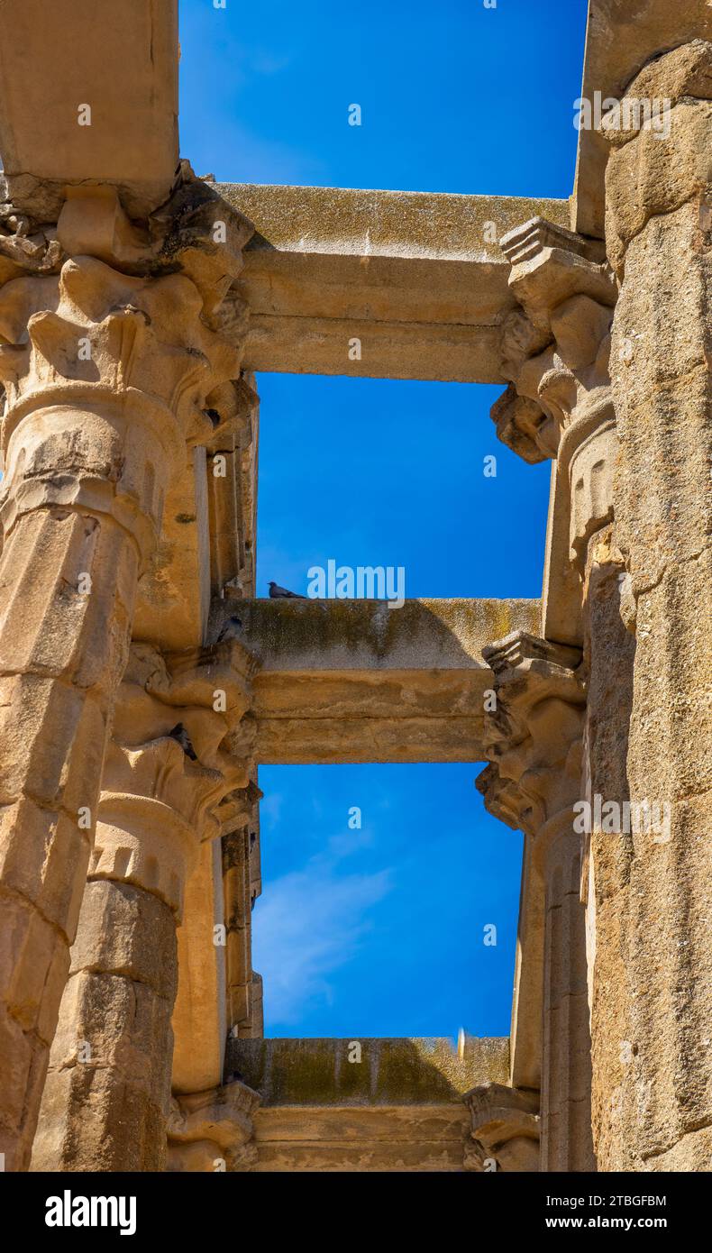 View from below of the granite row columns of the Roman Temple of Diana ...