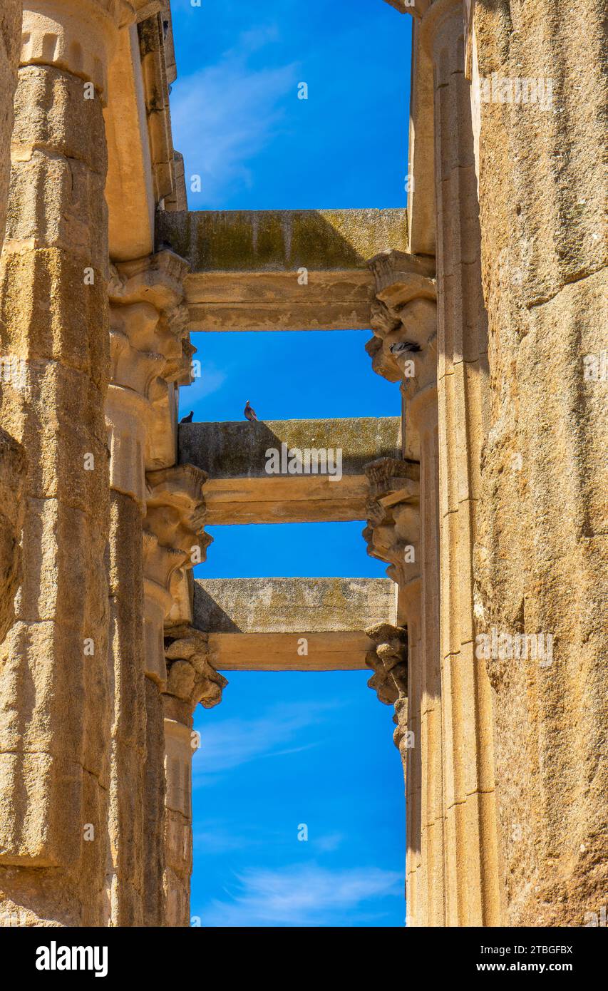 View from below of the rowed marble and granite columns of the Roman temple of Diana with doves ...