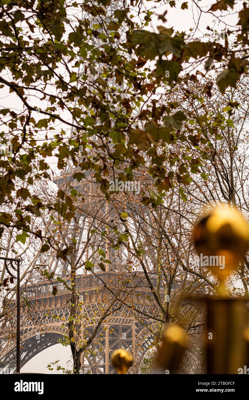 Gold access hi-res stock photography and images - Alamy